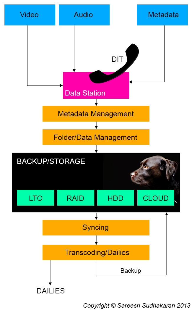 DataManagementWorkflow | wolfcrow