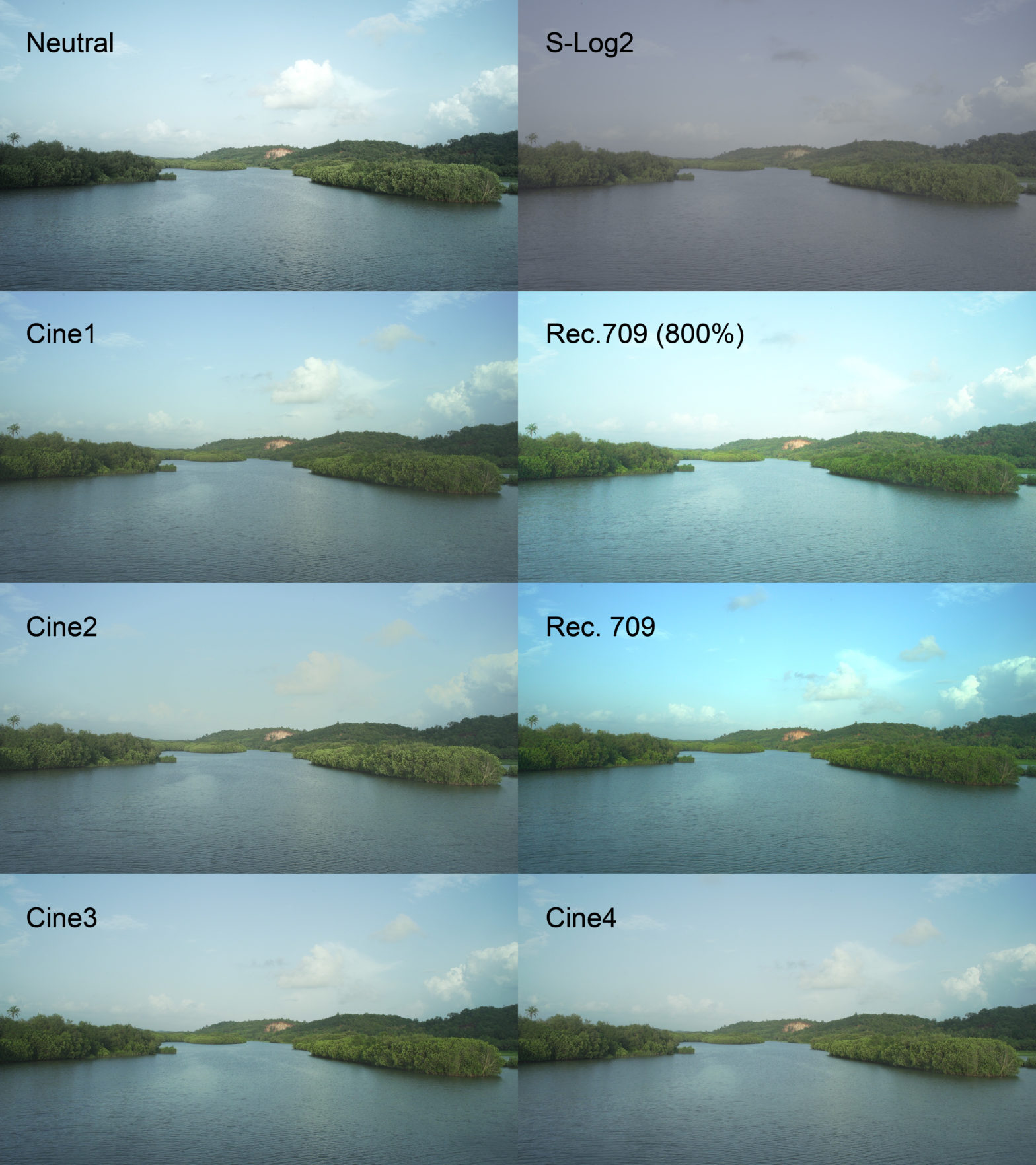 Two Real-world Picture Profile Comparisons