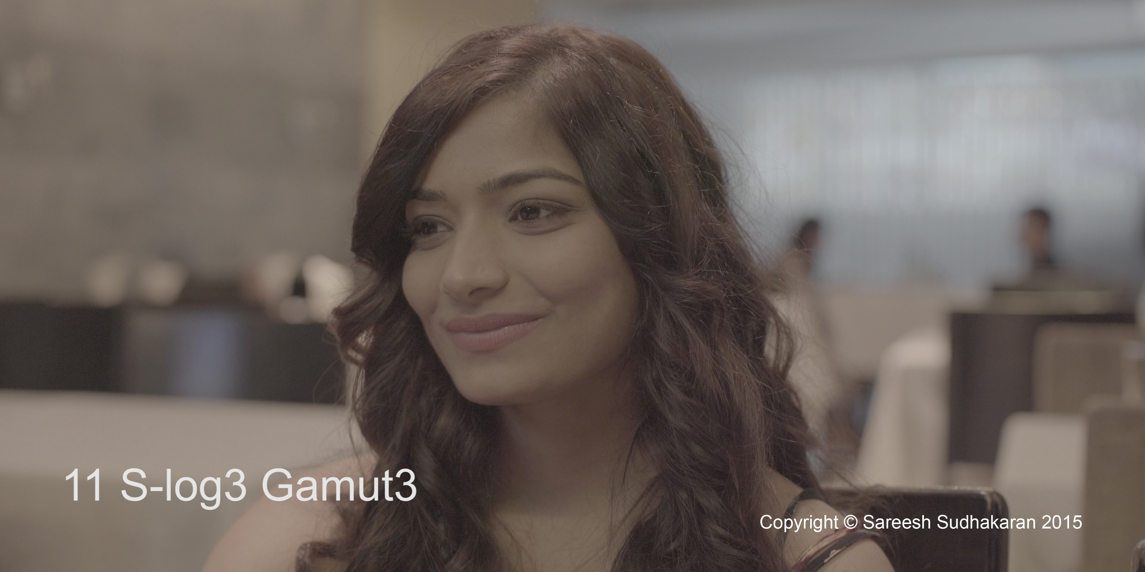 SLog3Gamut3 | wolfcrow