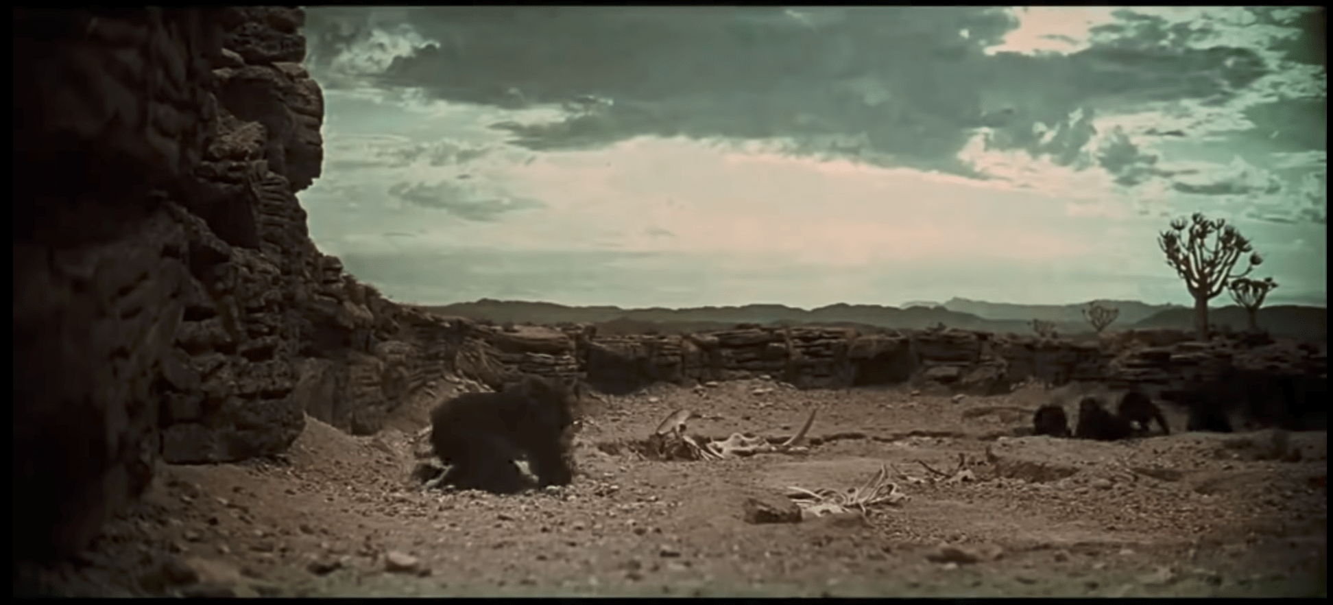 Pure Cinema: 2001: A Space Odyssey "Dawn of Man" Sequence