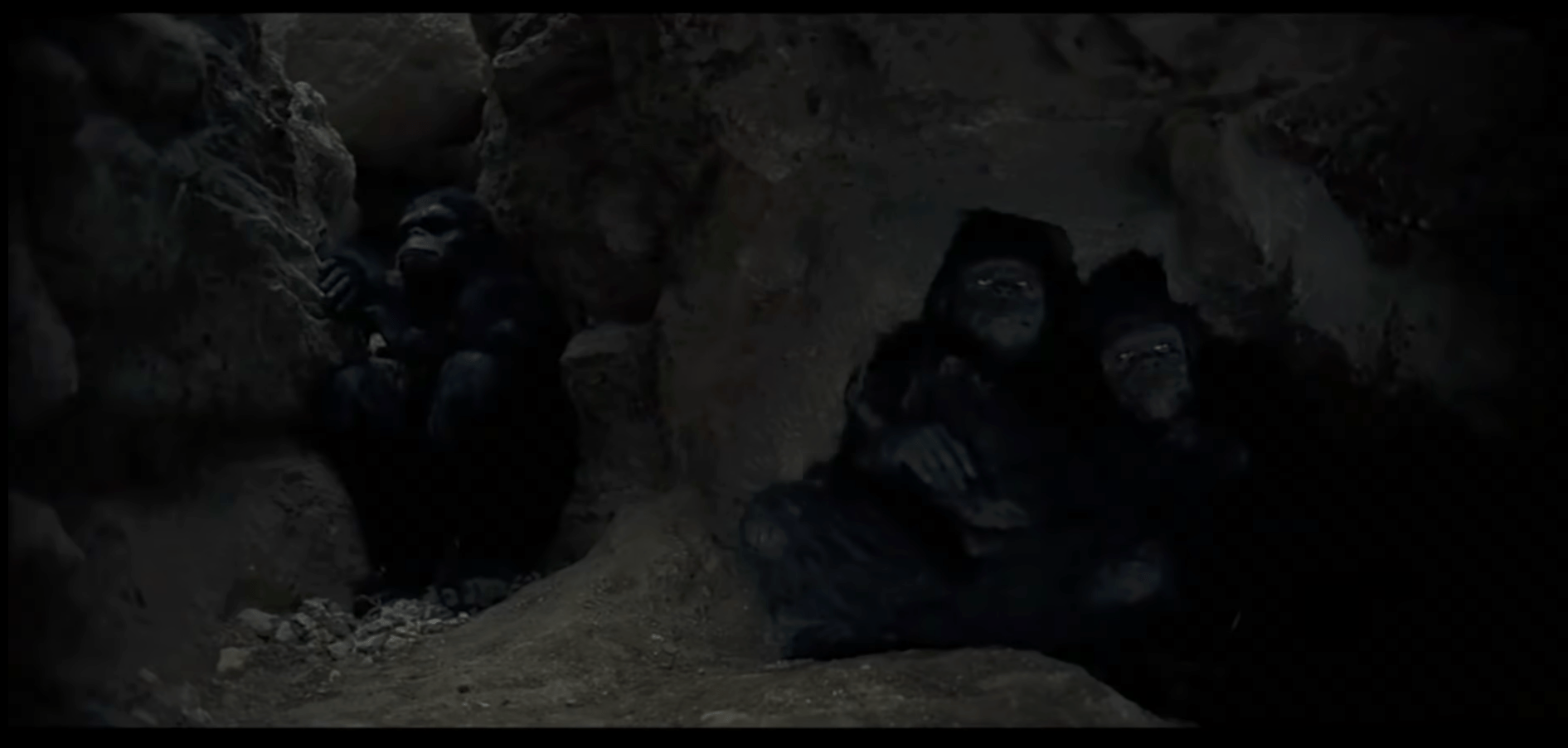 Pure Cinema: 2001: A Space Odyssey "Dawn of Man" Sequence