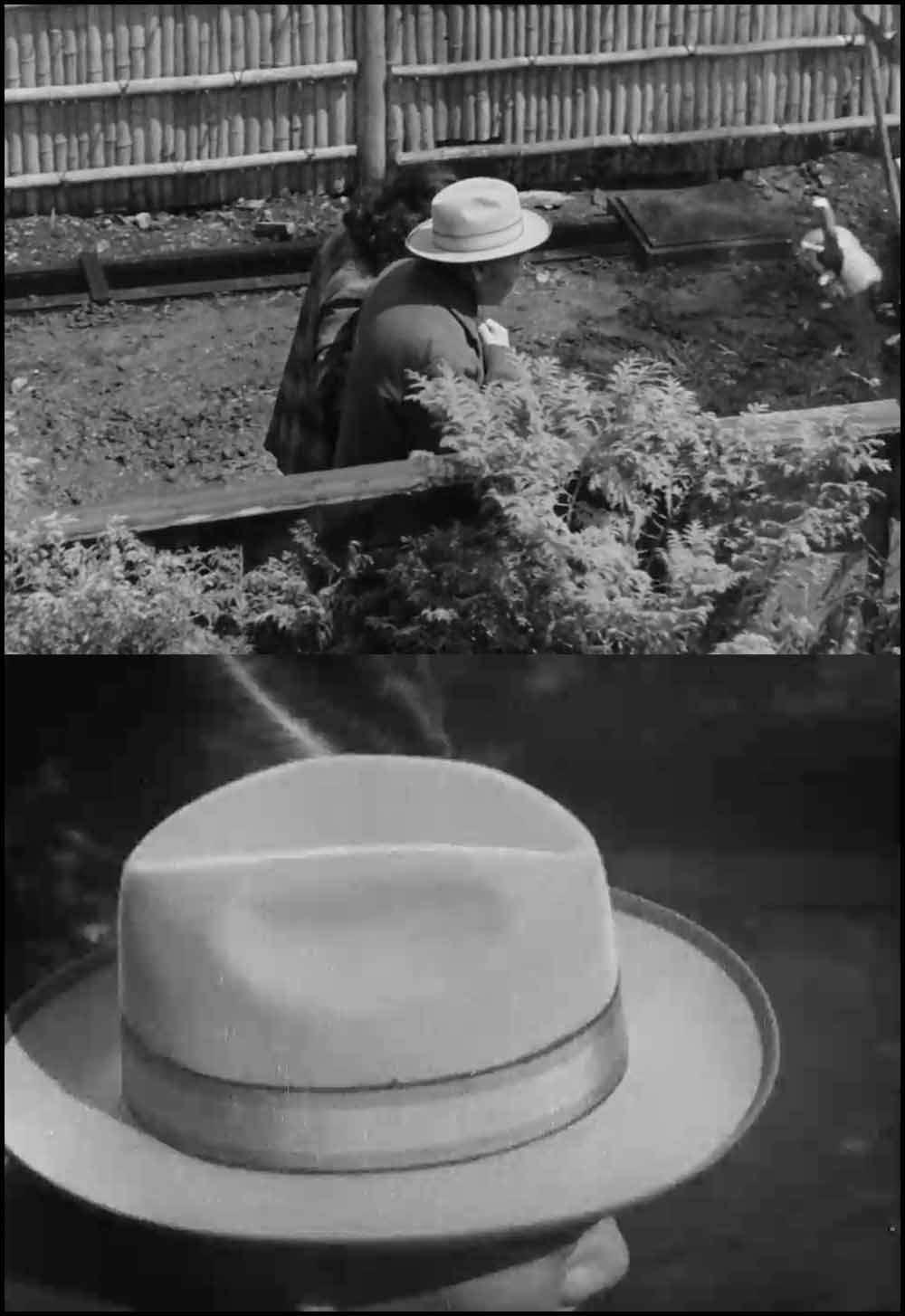 What is an Axial Cut and how is it used in Film?